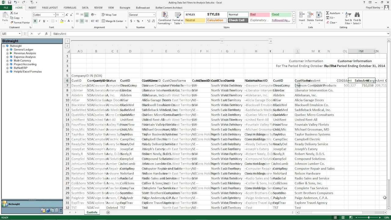 BizNet Software Tips and Tricks - #9 Creating Dynamic Reports from ...