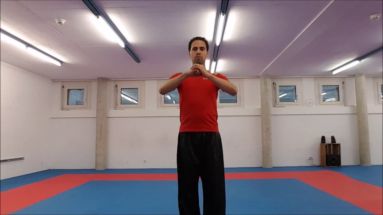 Aprenda kung fu chang chuan en casa 2° tutorial - YouTube