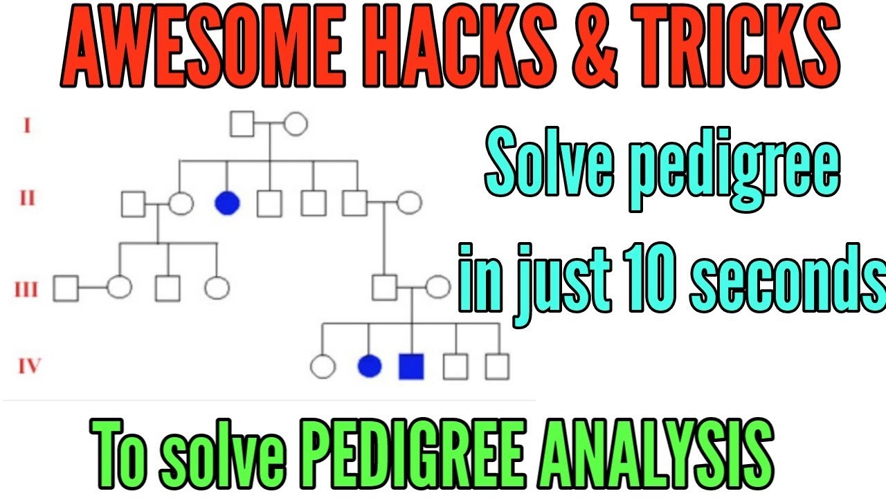 Awesome TRICKS And Hacks To Solve PEDIGREE ANALYSIS Problems With Ease awesome-tricks-and-hacks-to-solve-pedigree-analysis-problems-with-ease