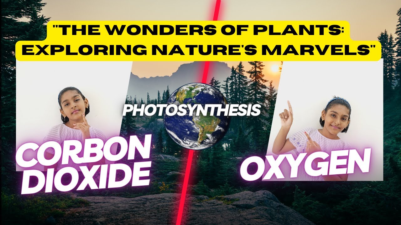 "The Wonders of Plants: Exploring Nature's Marvels"#photosynthesis # ...