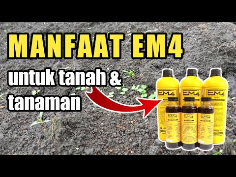 INI DIA! Manfaat EM4 untuk Tanah & Tanaman