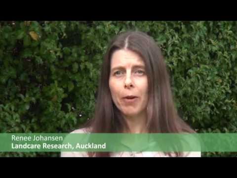 Renee Johansen - Fulbright Scholarship recipient - YouTube