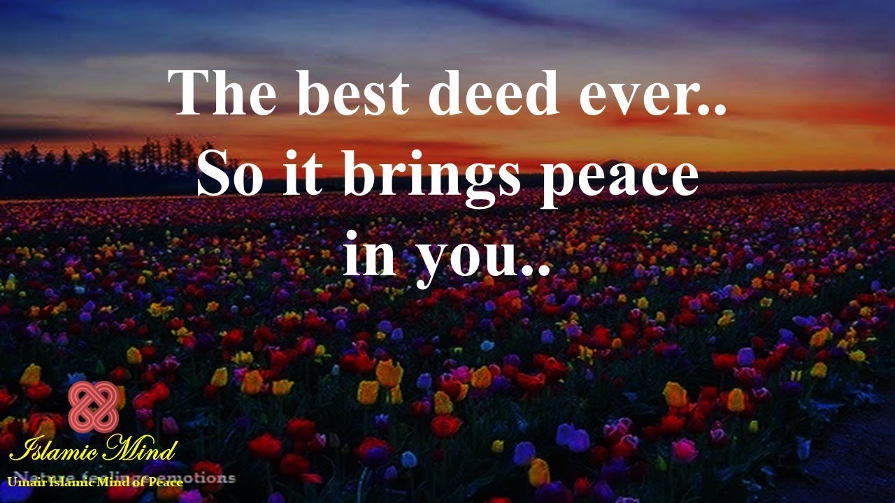 The best deed ever..So it brings peace for you | Beautiful Islamic ...