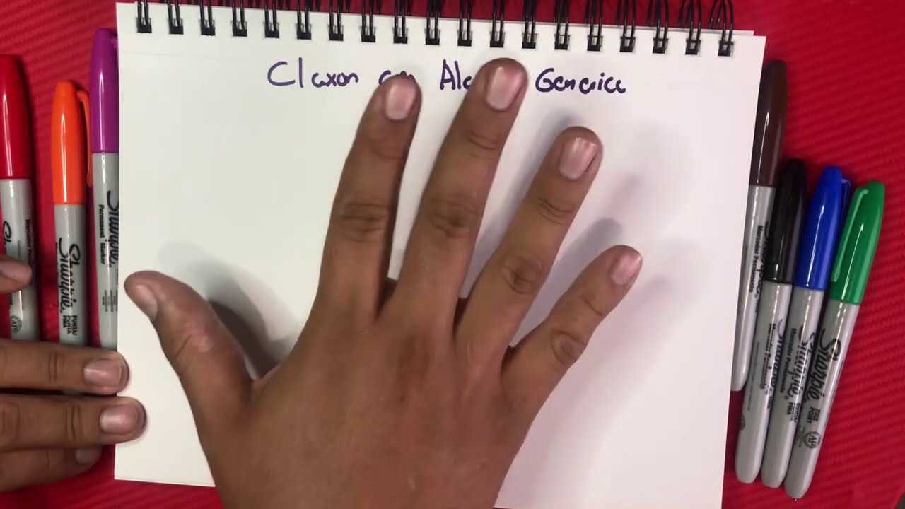 DIAGRAMA: Claxon Con Alarma Generica / JMK - YouTube