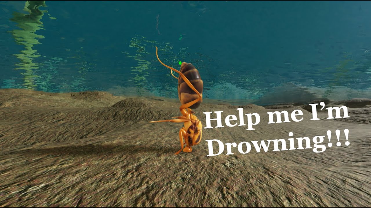 Teaching Ants how to swim in Ant Life V2 Live! - YouTube