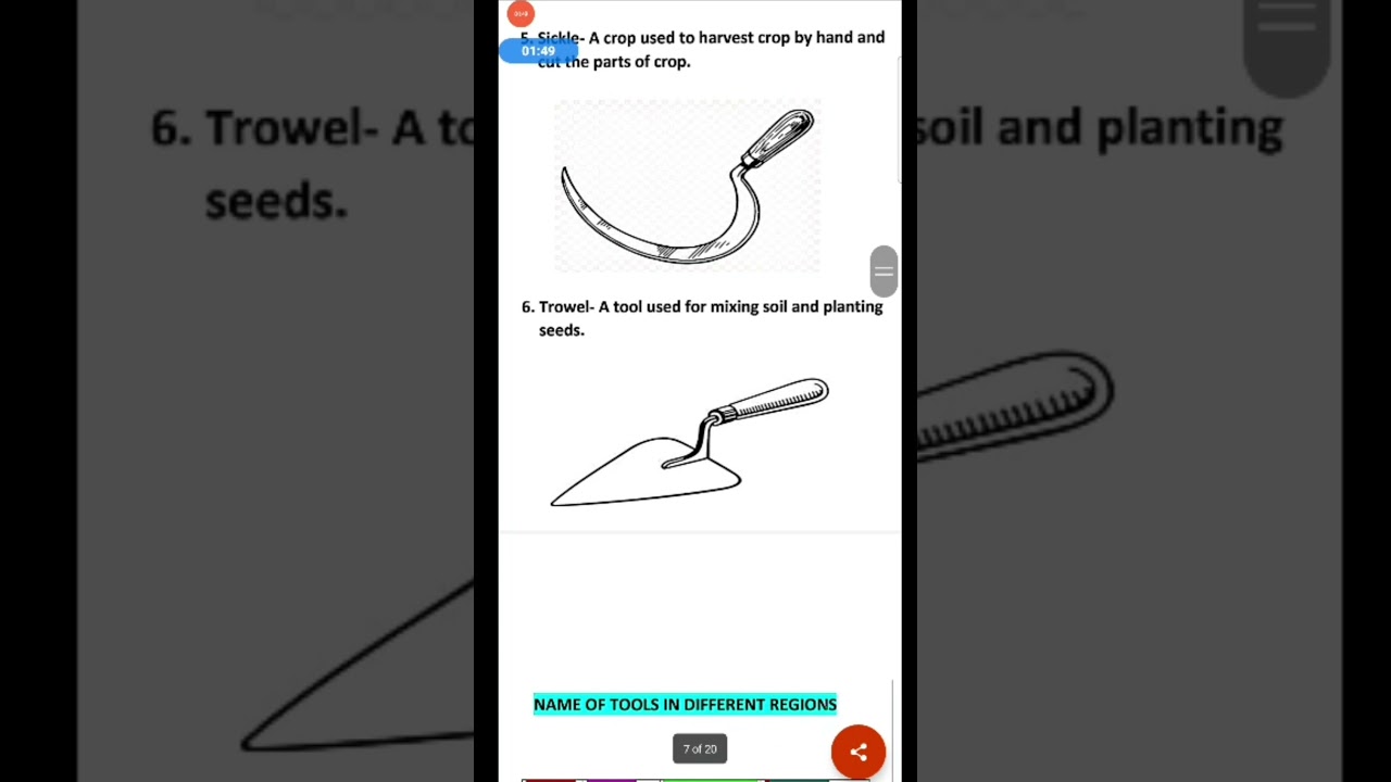 Basva's farm ( All worksheets) CLASS 4TH NCERT EVS - YouTube