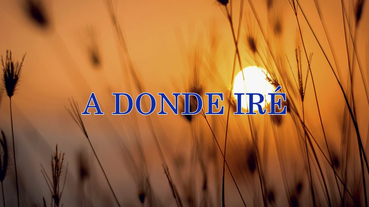 Alabanzas a YAHWEH - A DONDE IRÉ - YouTube