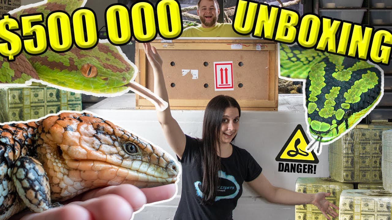UNBOXING $500,000 OF RARE REPTILES!!! - YouTube