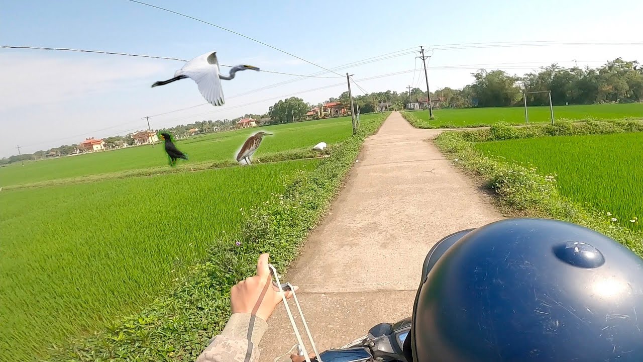 Ná Cao Su Bắn Chim - Vừa Đi Xe Vừa Bắn Chim - Hunting Slingshot Bird ...