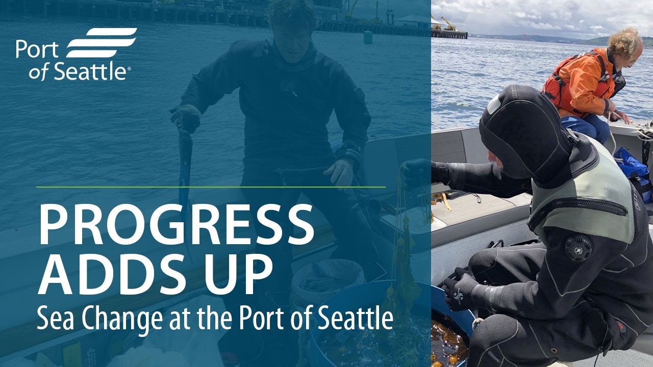 Progress Adds Up | Sea Change at the Port of Seattle - YouTube