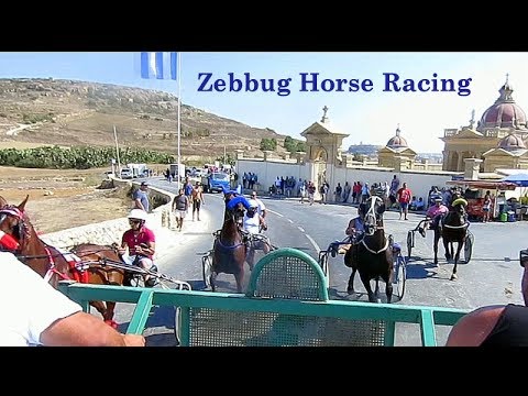 Traditional Horse Racing 2017, Zebbug, Gozo, Malta - YouTube