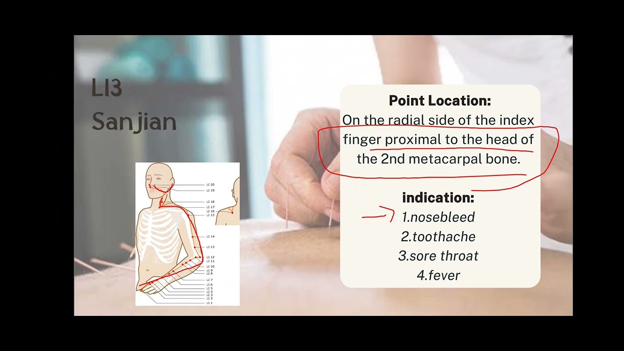 acupuncture (large intestine Meridian) video 1Dr Mohamed Asalaa - YouTube