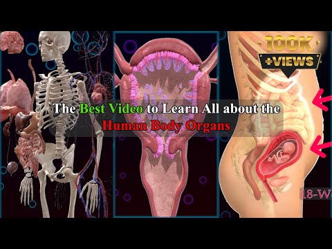 Secrets of Your Body Revealed in 8 Minutes 🔍 [It Will Change Your Life] 🌟