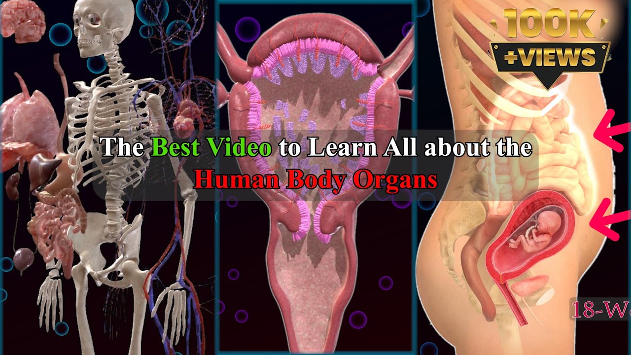 Secrets of Your Body Revealed in 8 Minutes 🔍 [It Will Change Your Life ...