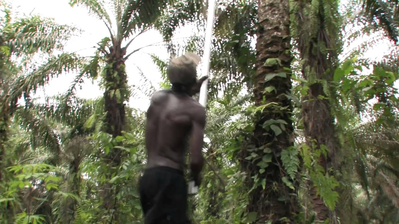 Film Siat Gabon - YouTube