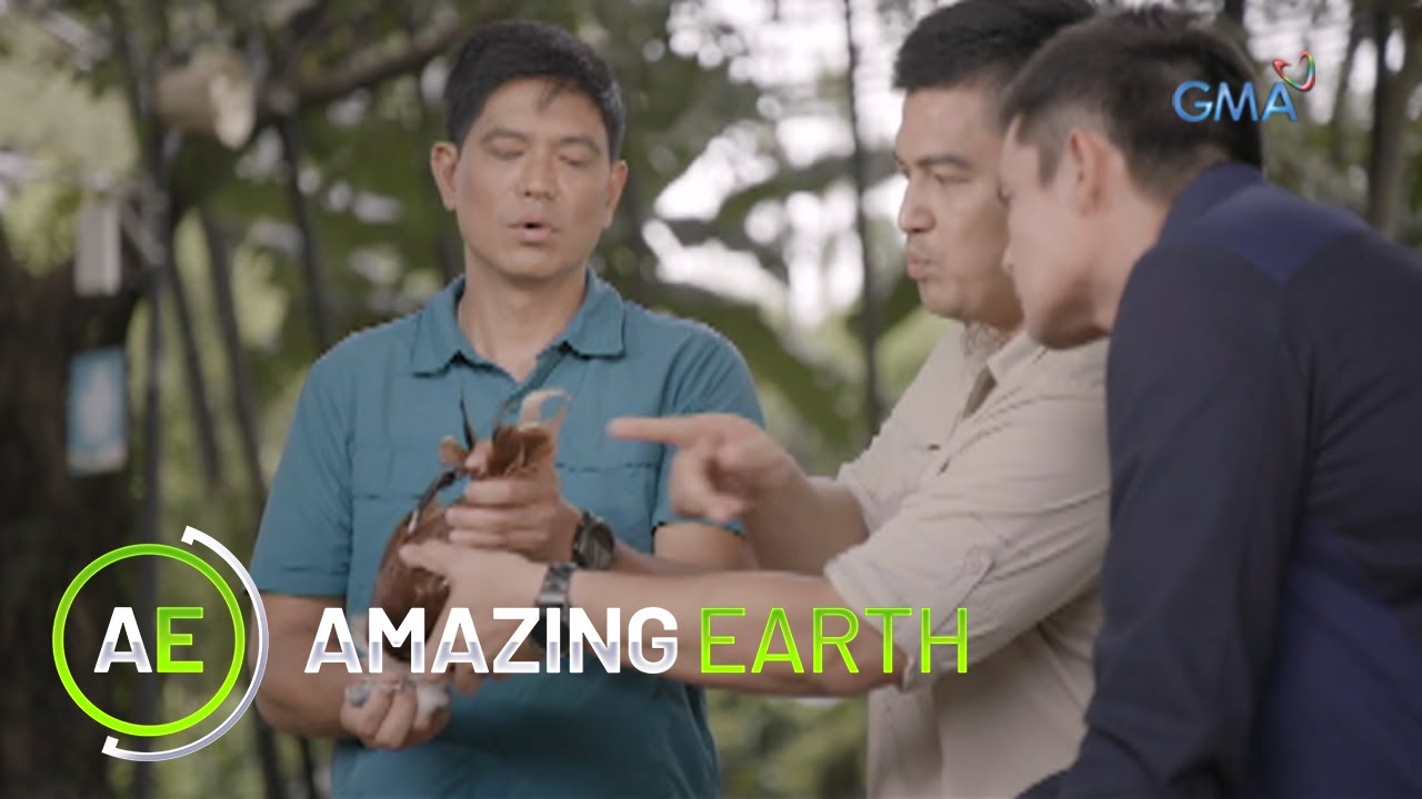 Amazing Earth: Saving animals with Doc Ferds Recio and Doc Nielsen ...