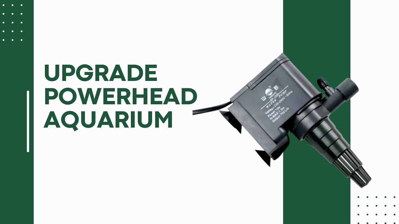 Cara upgrade powerhead aquarium agar lebih kencang - YouTube