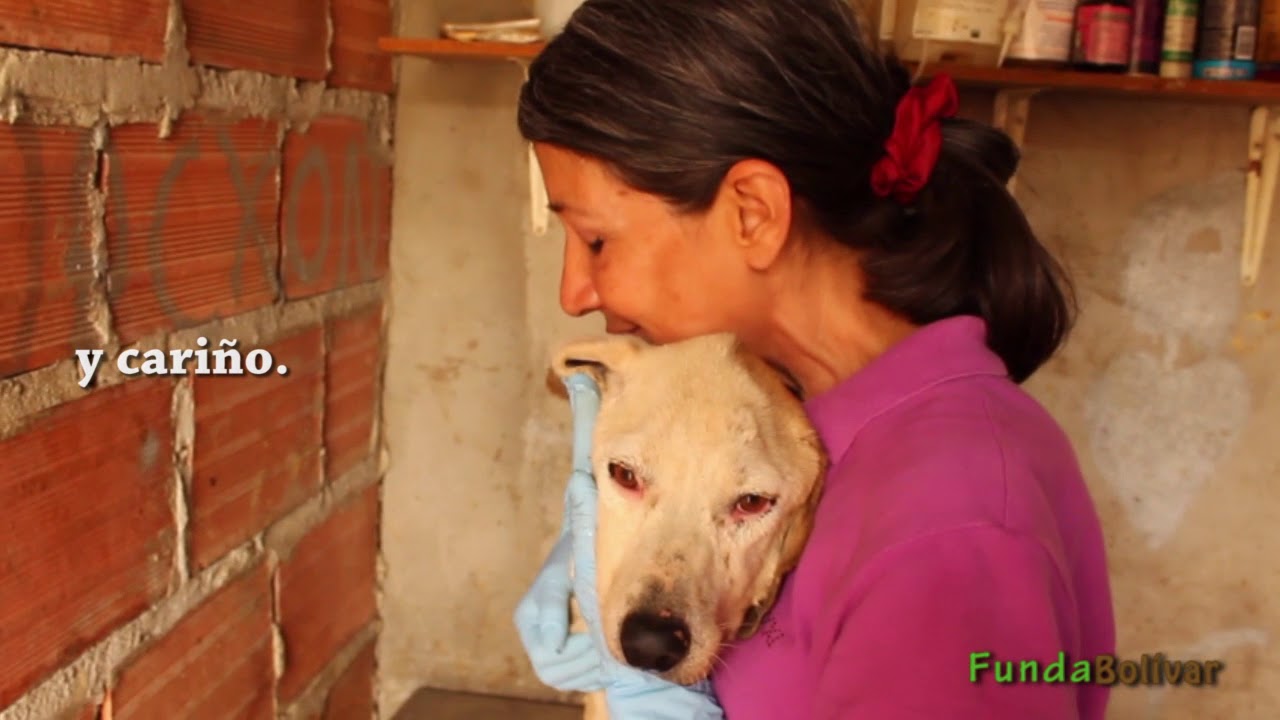 Kala demuestra que un poquito de amor hace la diferencia - YouTube