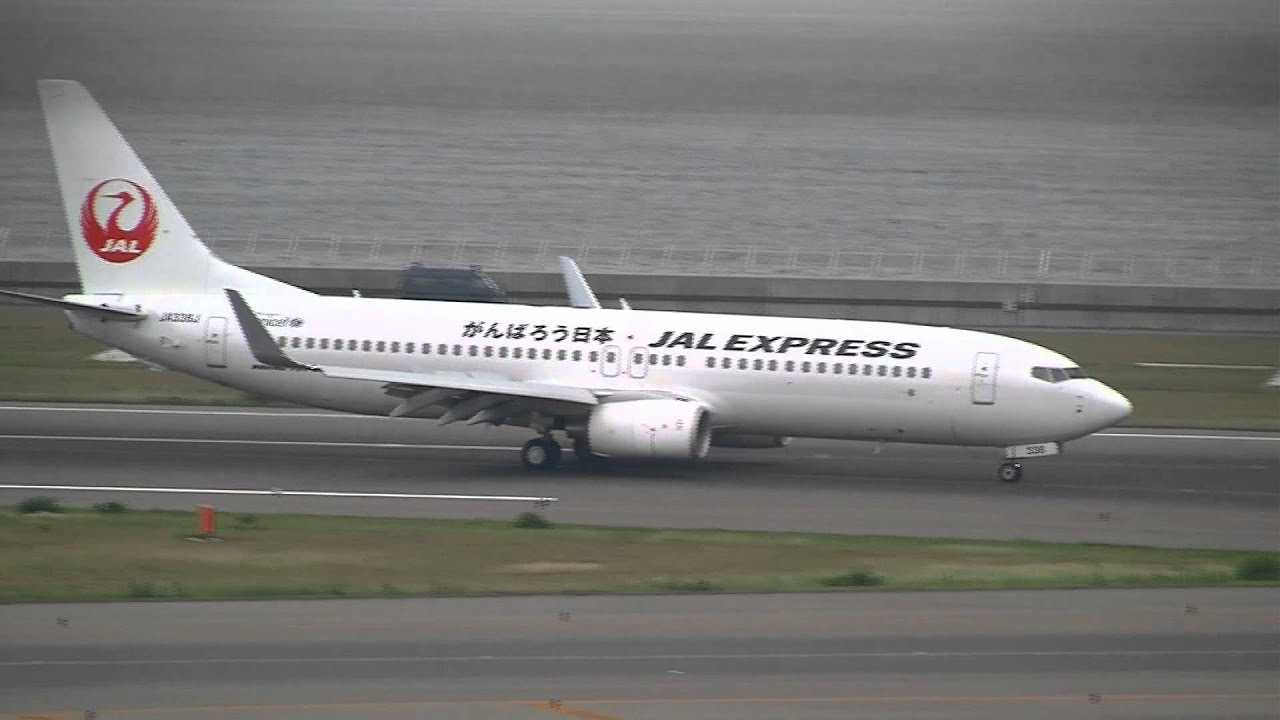 JAL Boeing 737-800 New Livery JA338J Landing at Nagoya - YouTube