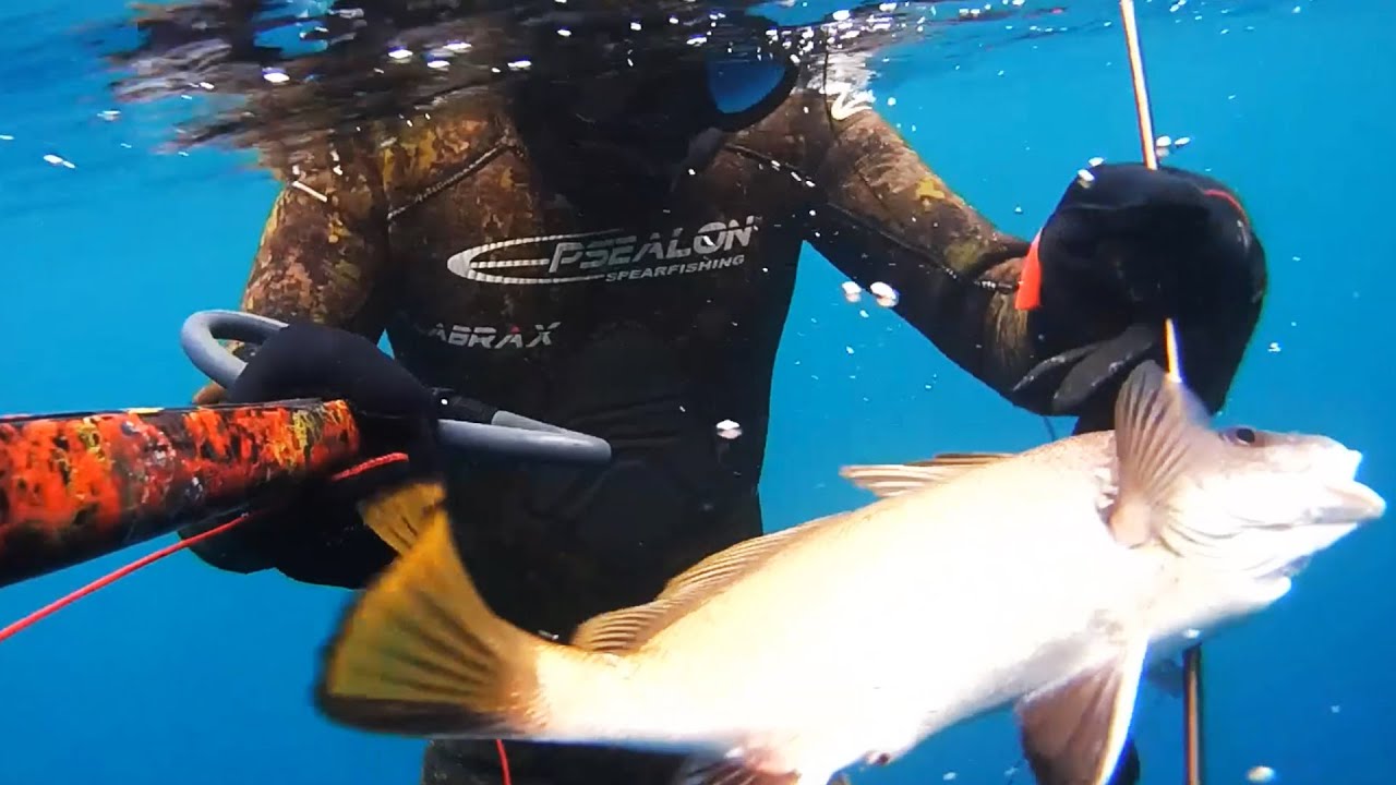 Buco pesca subacquea - Italia 2016 madrepore - YouTube