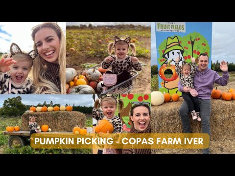 PUMPKIN PICKING - COPAS FARM IVER - HALLOWEEN FAMILY FESTIVITIES! # ...