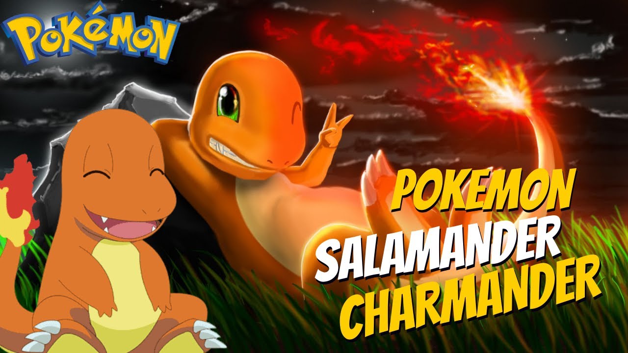 KISAH TENTANG POKEMON CHARMANDER,POKEMON SALAMANDER API. - YouTube