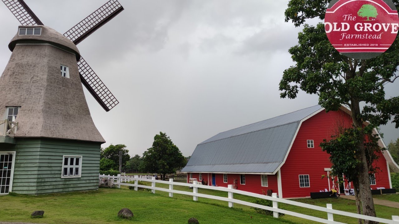 THE OLD GROVE farmstead LIPA BATANGAS. - YouTube