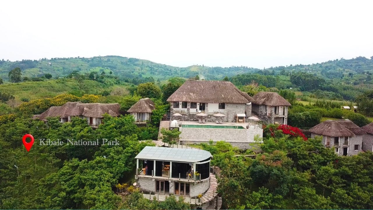 Tabebuia Spa & Safari Resort (Kibale National Park) - YouTube