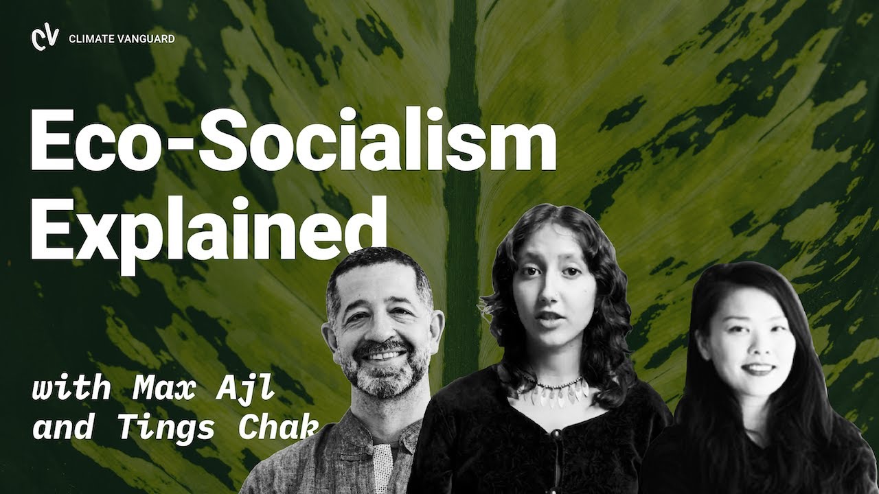 Eco-Socialism Explained with Max Ajl and Tings Chak - YouTube