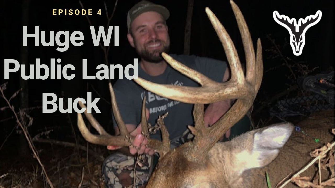 HUGE Wisconsin Public Land Bow Buck! - YouTube