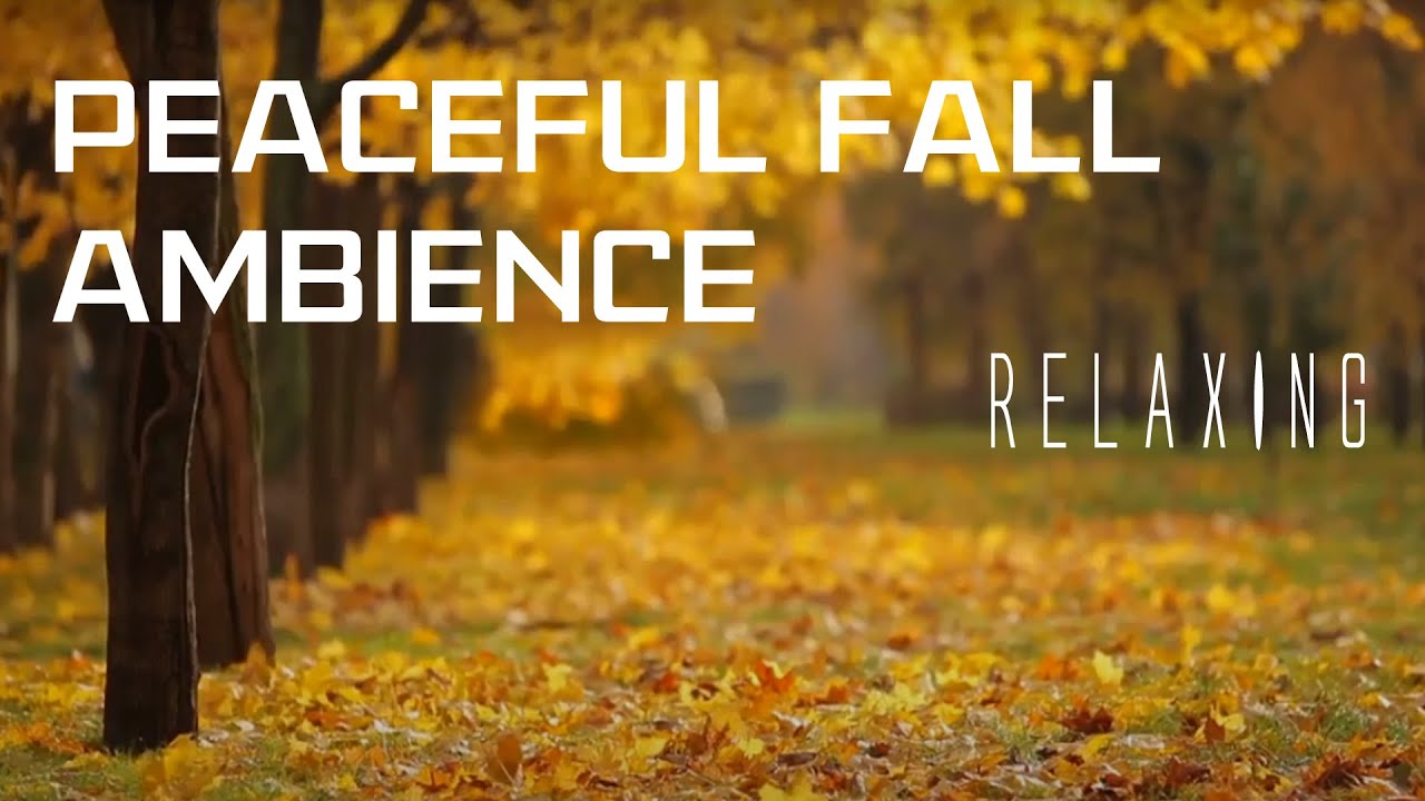 PEACEFUL FALL DAYTIME AMBIENCE MEDITATION | Relaxing Music - Meditation ...