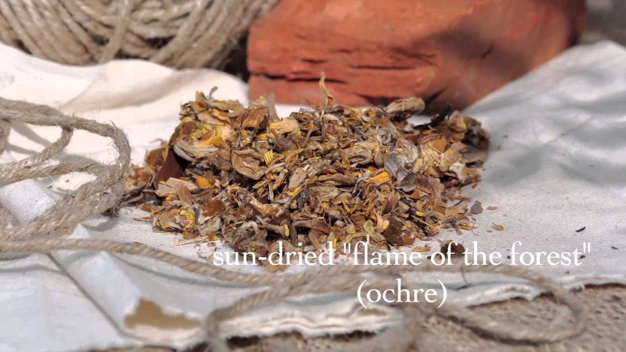 Meet Shilpa Rathi - YouTube