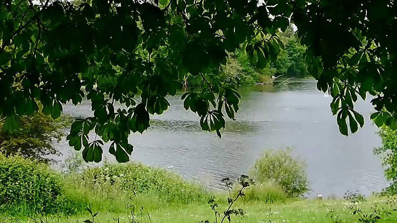 Tuesday Meditation - Daily guided meditation series - YouTube