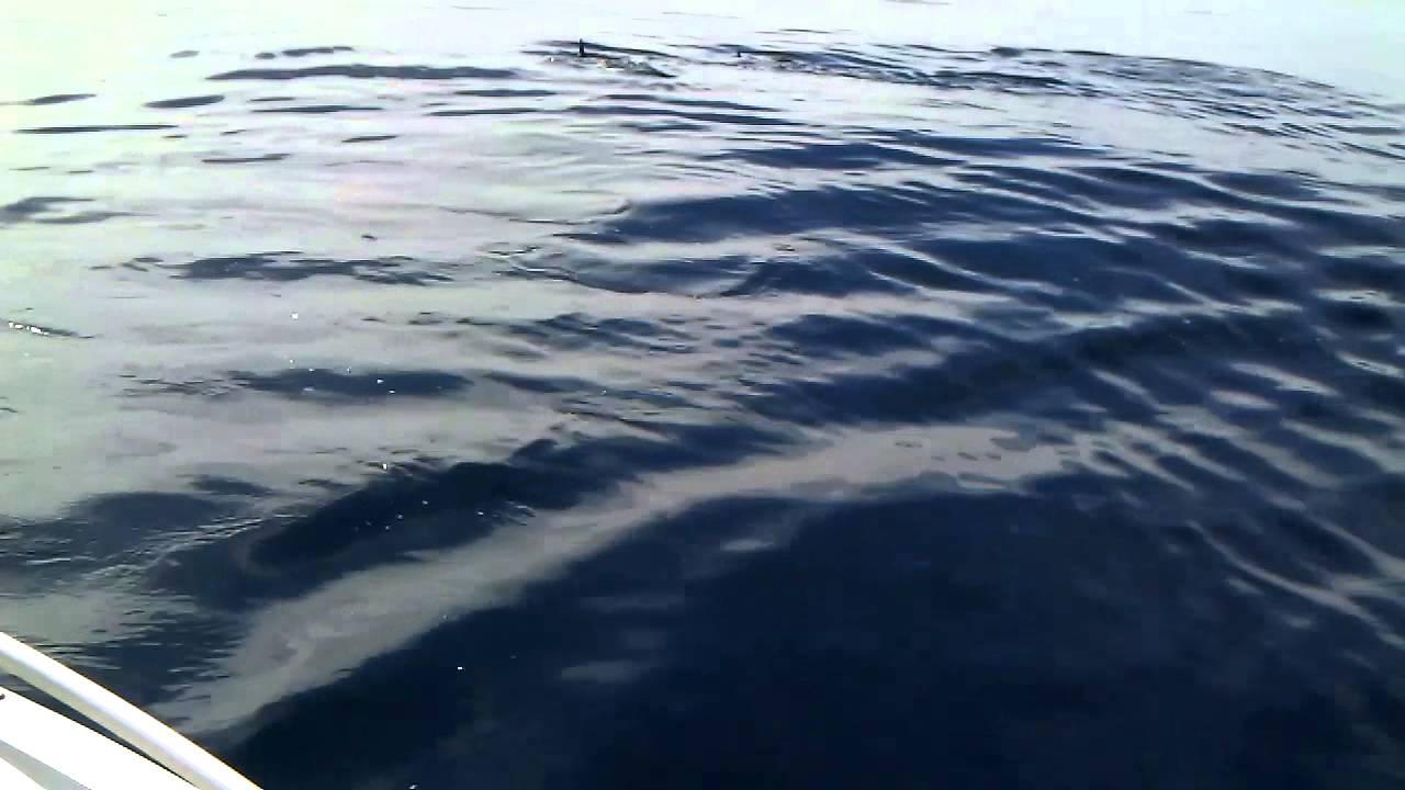 Izor's Reef (on the way out) 1/22/13 - YouTube