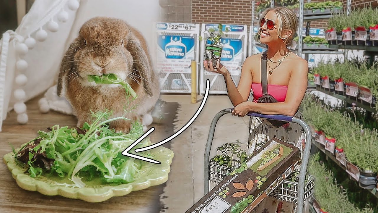 Planting a Garden for My Rabbit (Part One) - YouTube