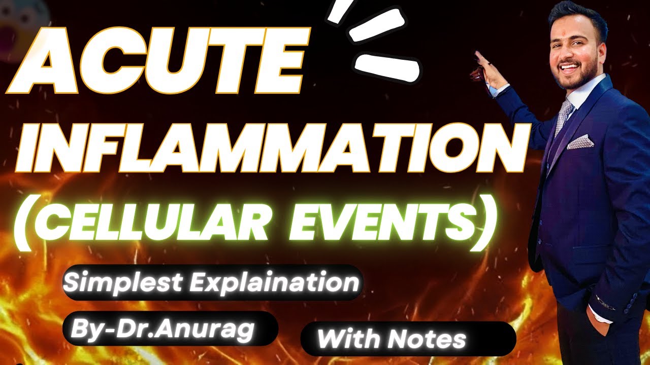 Acute inflammation (cellular events) #pathology #Acute_inflammation ...