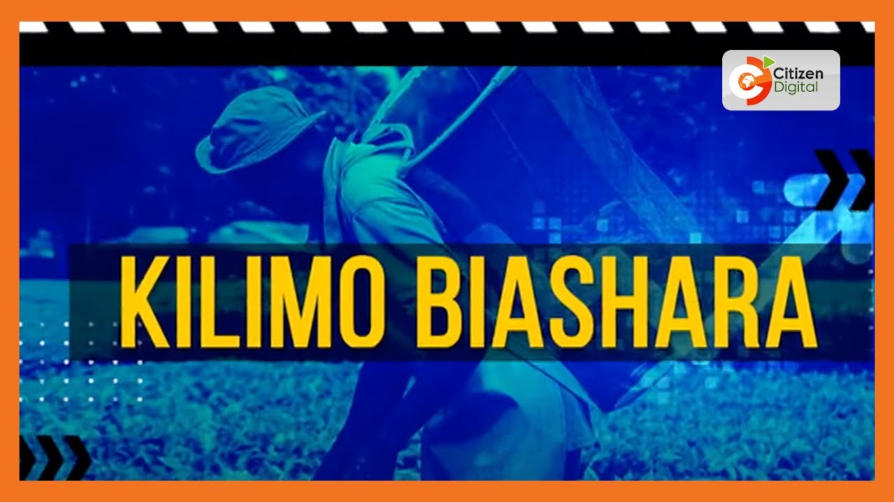 Wakulima wa mpunga waimarisha kilimo Tana River - YouTube