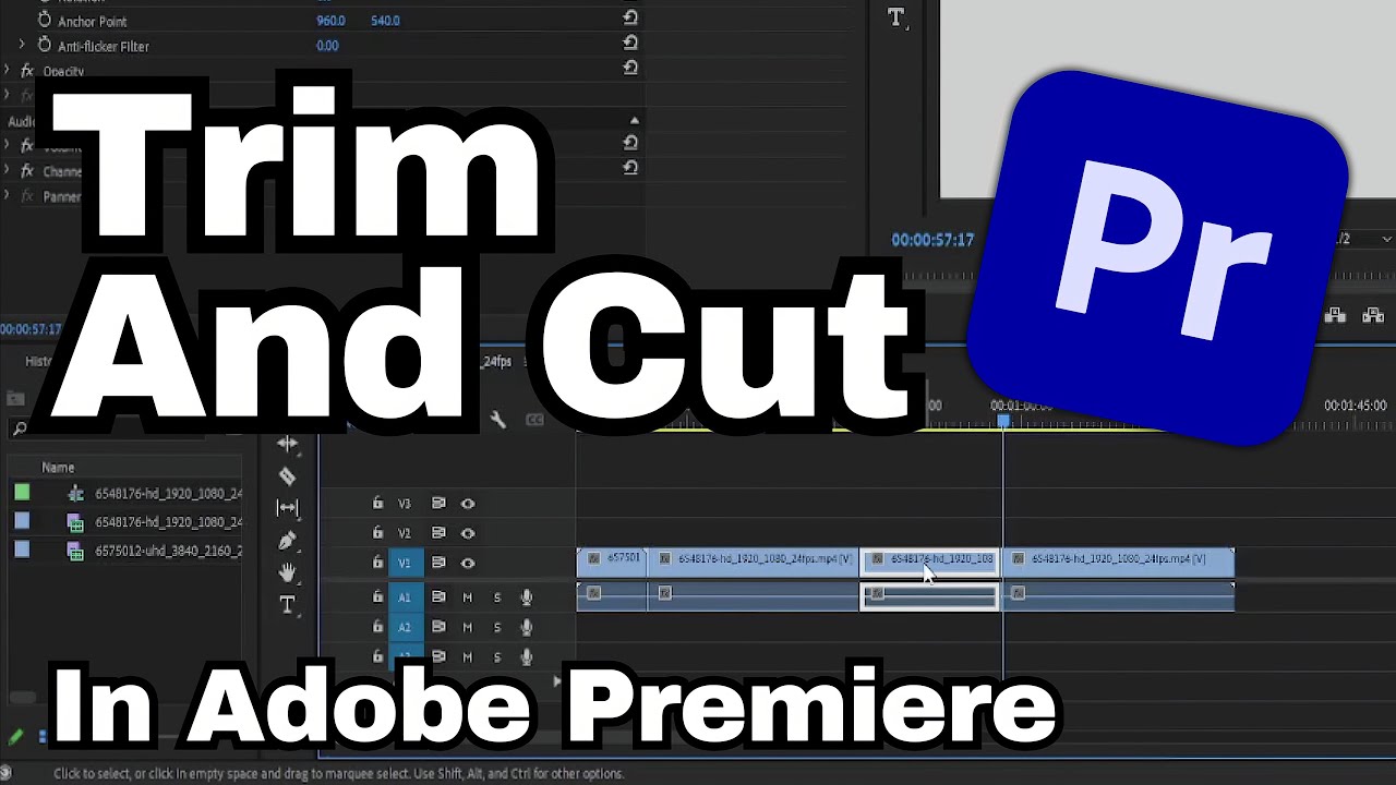 How to Trim and Cut in Adobe Premiere Pro CC | Adobe Tutorial - YouTube