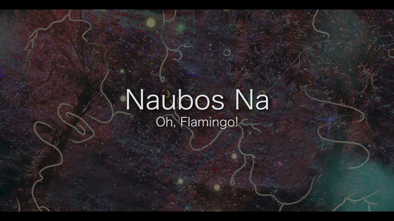 Oh, Flamingo! - Naubos Na [Official Lyric Video] - YouTube