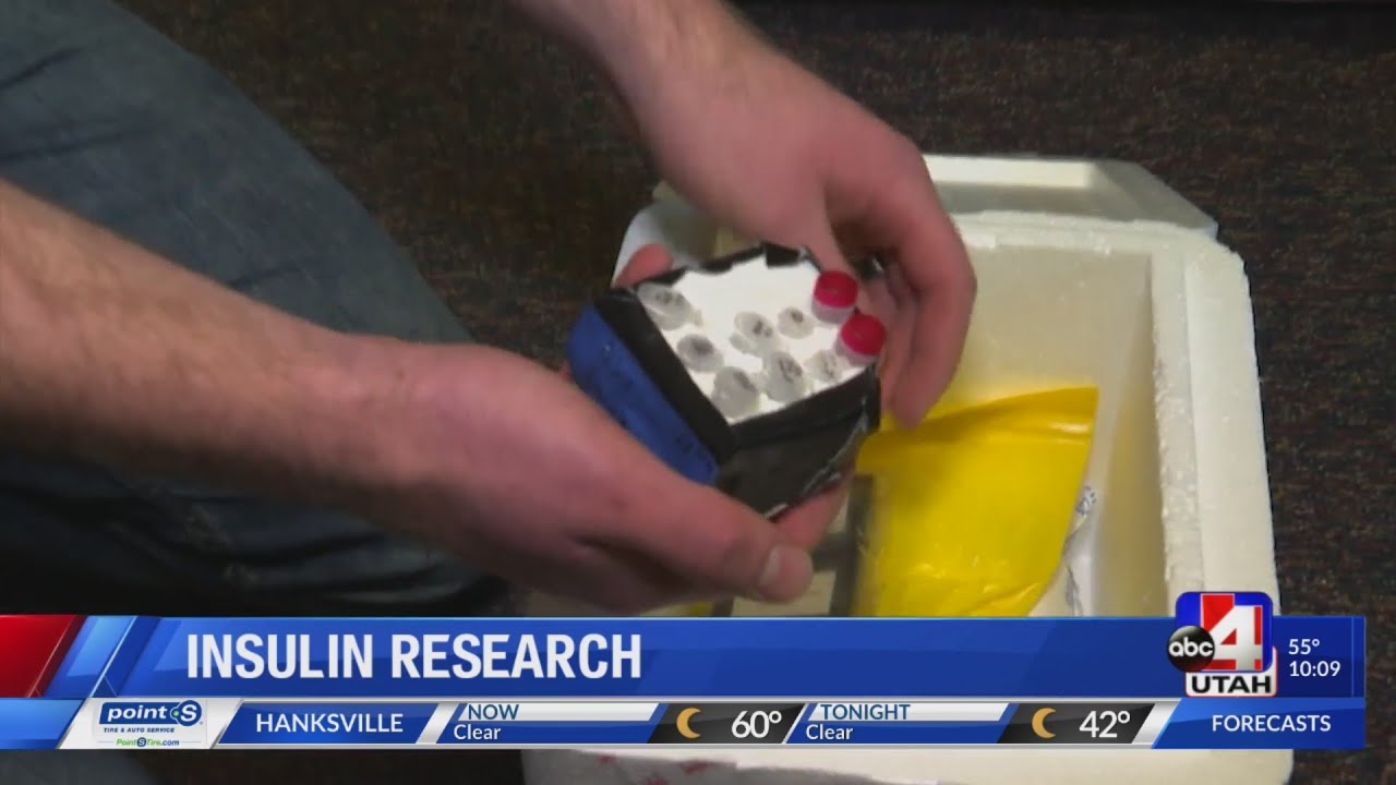 Can this science student really make insulin? - YouTube
