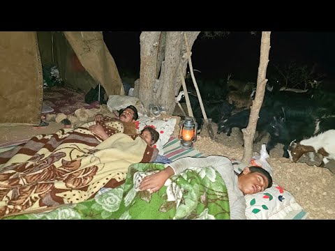 🌃A Cloudy Night with the Zagros Nomads | Building Shelter and Real Life in the Mountains 🏔️🐐