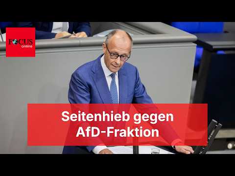 Merz: „Wie soll das gehen ohne jede natürliche Intelligenz”