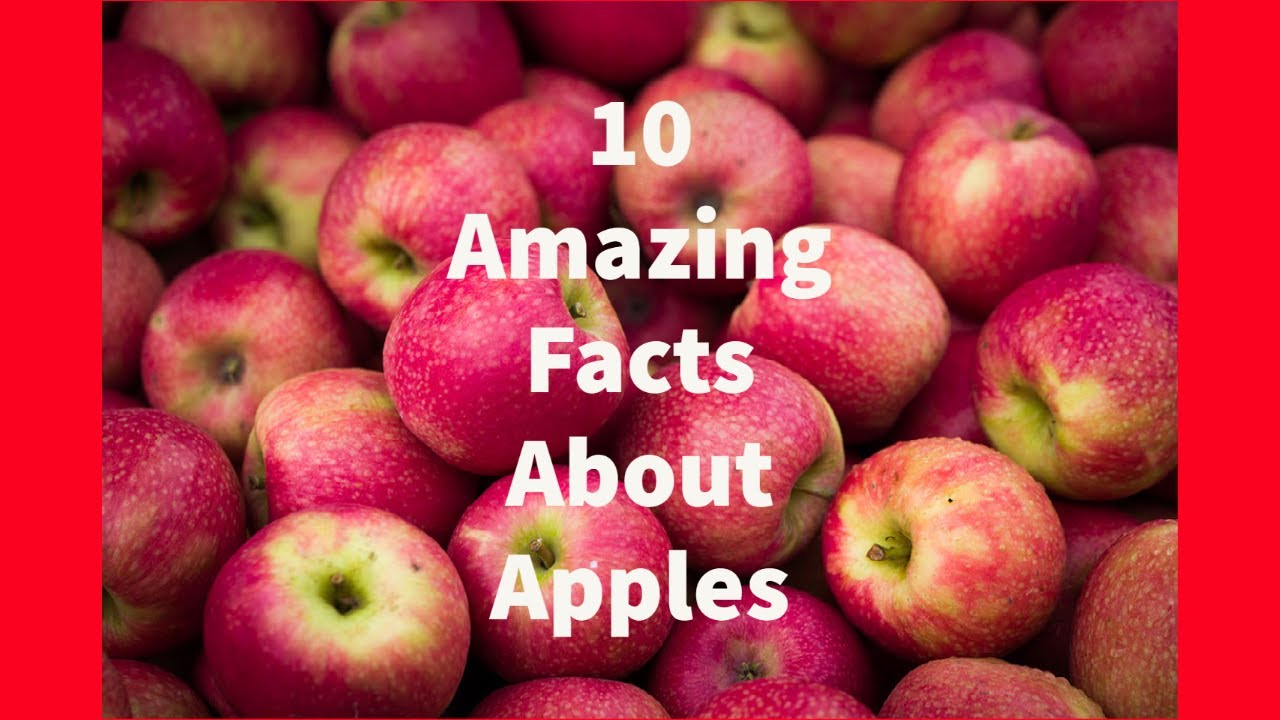 10 Amazing Facts About Apples You Probably Didn't Know! - YouTube
