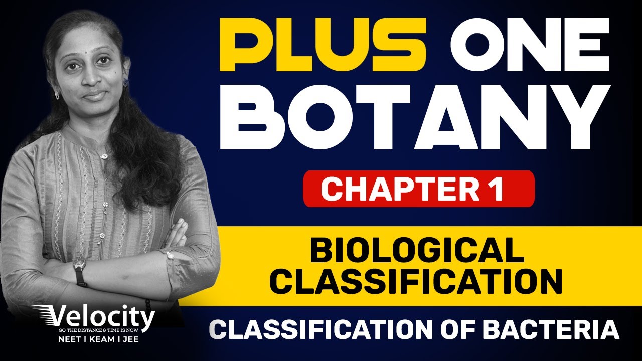 Classification of bacteria|Types of bacteria|+1 Botany|Biological ...