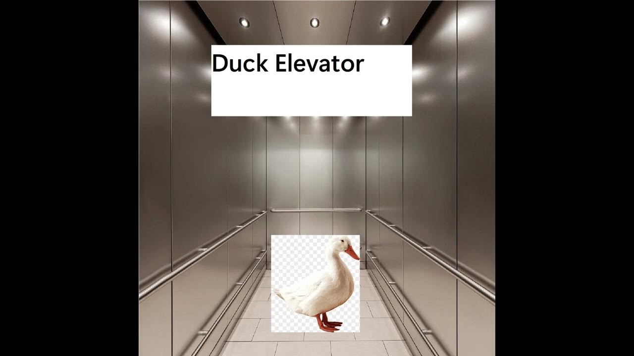 duck elevator - YouTube