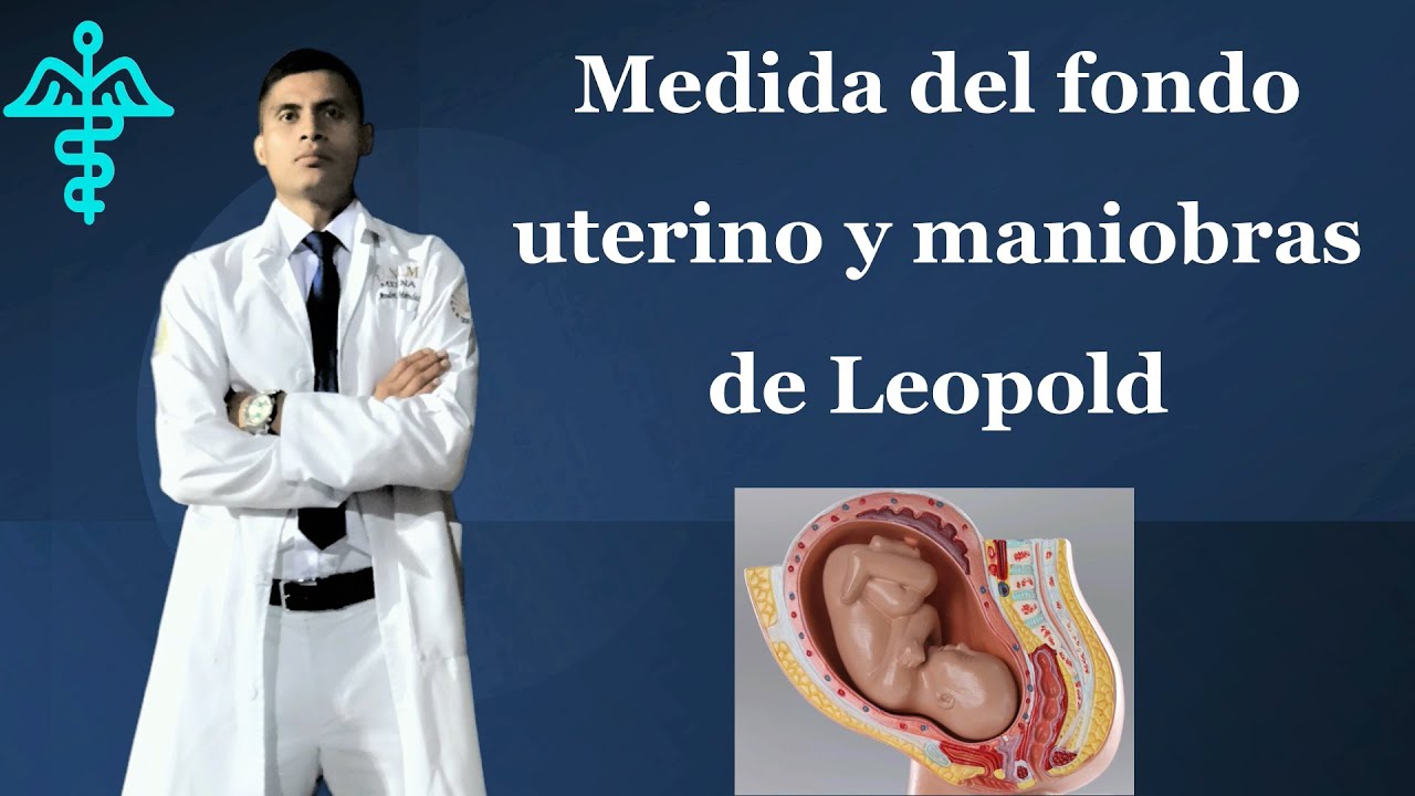 Medida del fondo uterino y maniobras de Leopold - YouTube