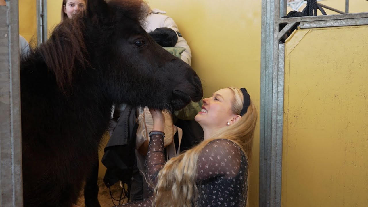 Best of Passion Pferd 2024 - YouTube