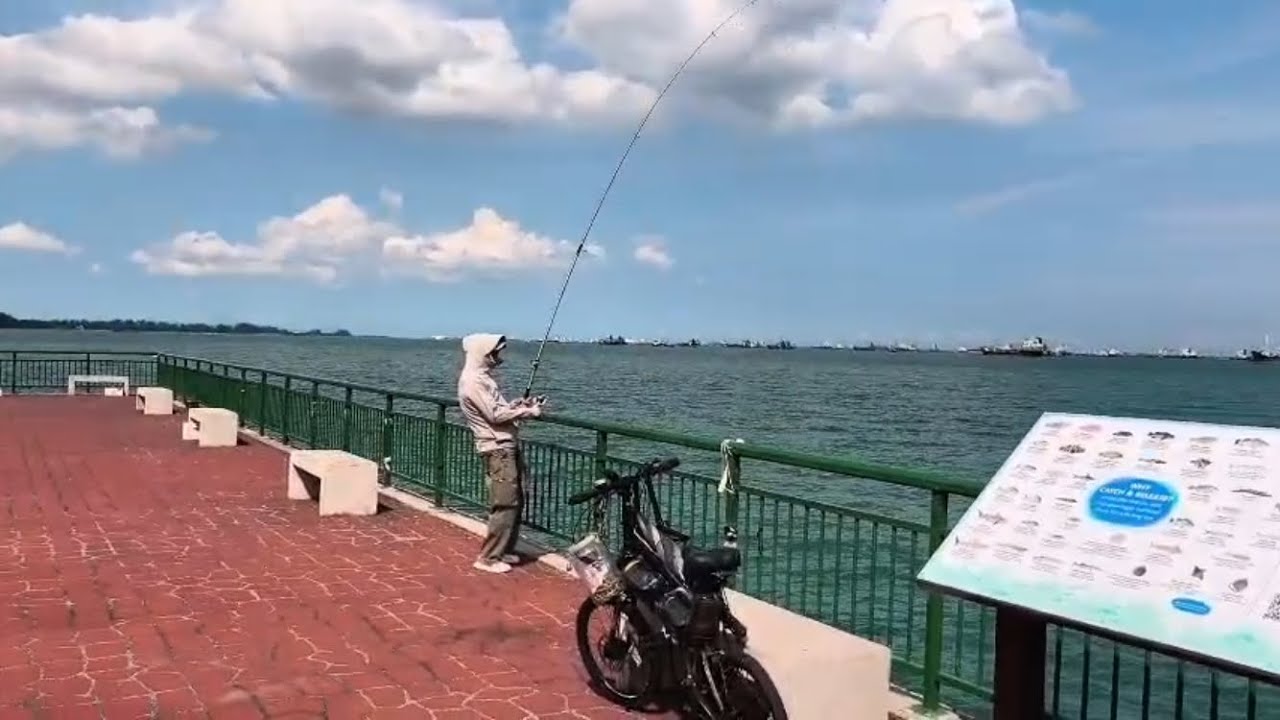 Bedok Jetty, landing Queenfish, cable car rig - YouTube