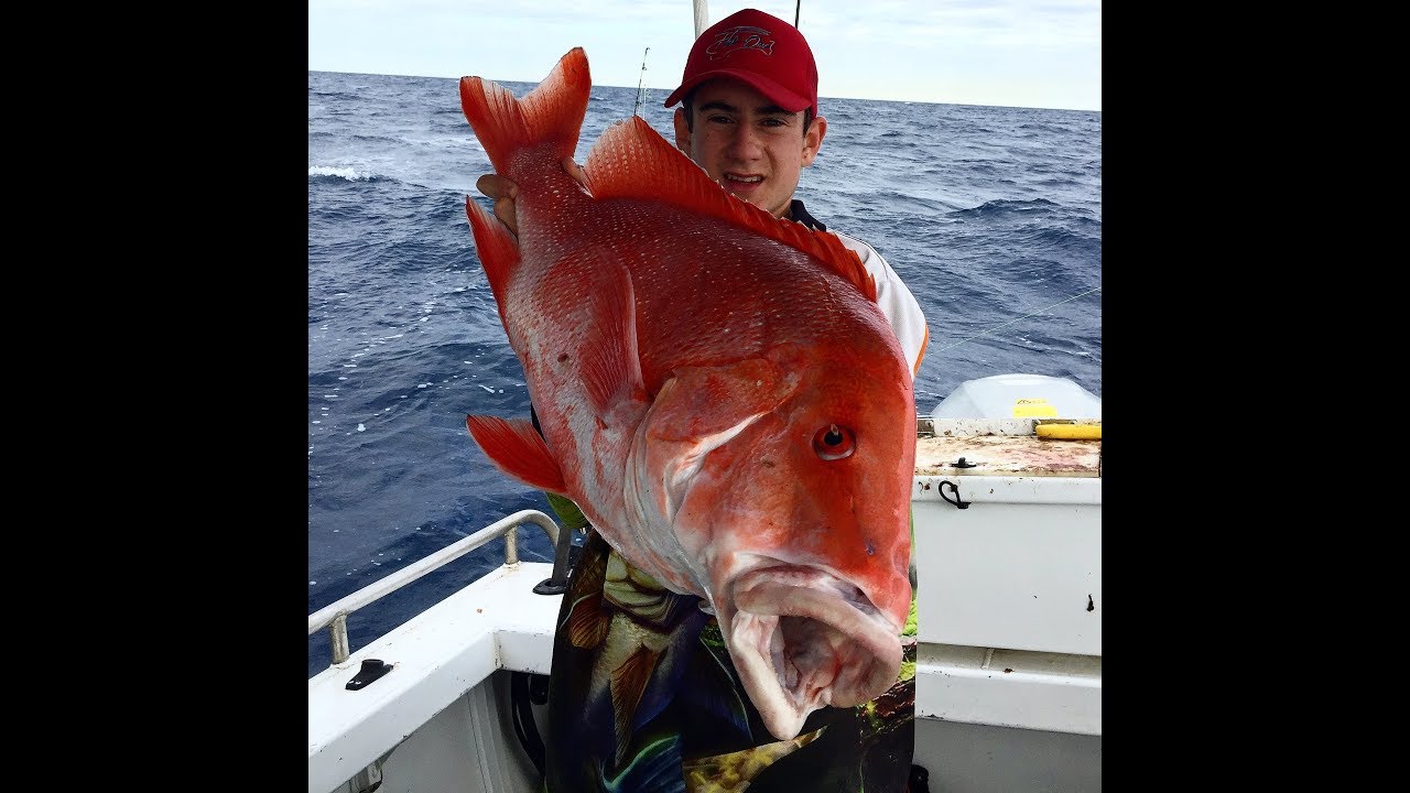 Great Barrier Reef fishing Red Emperor, Coral Trout and Massive ...