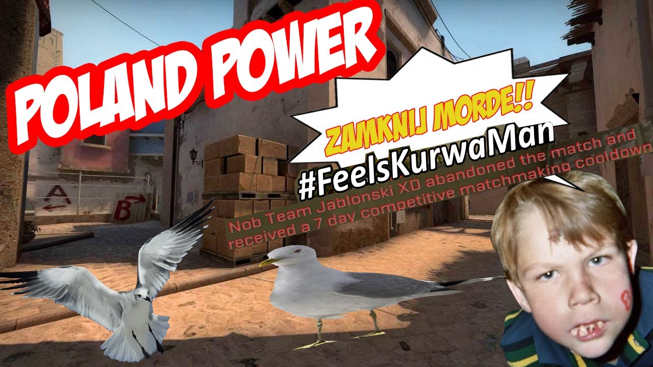 CS:GO - POLAND POWER!! (Angry Polak, Cooldowns, Plays, ANGRY BIRDS ...